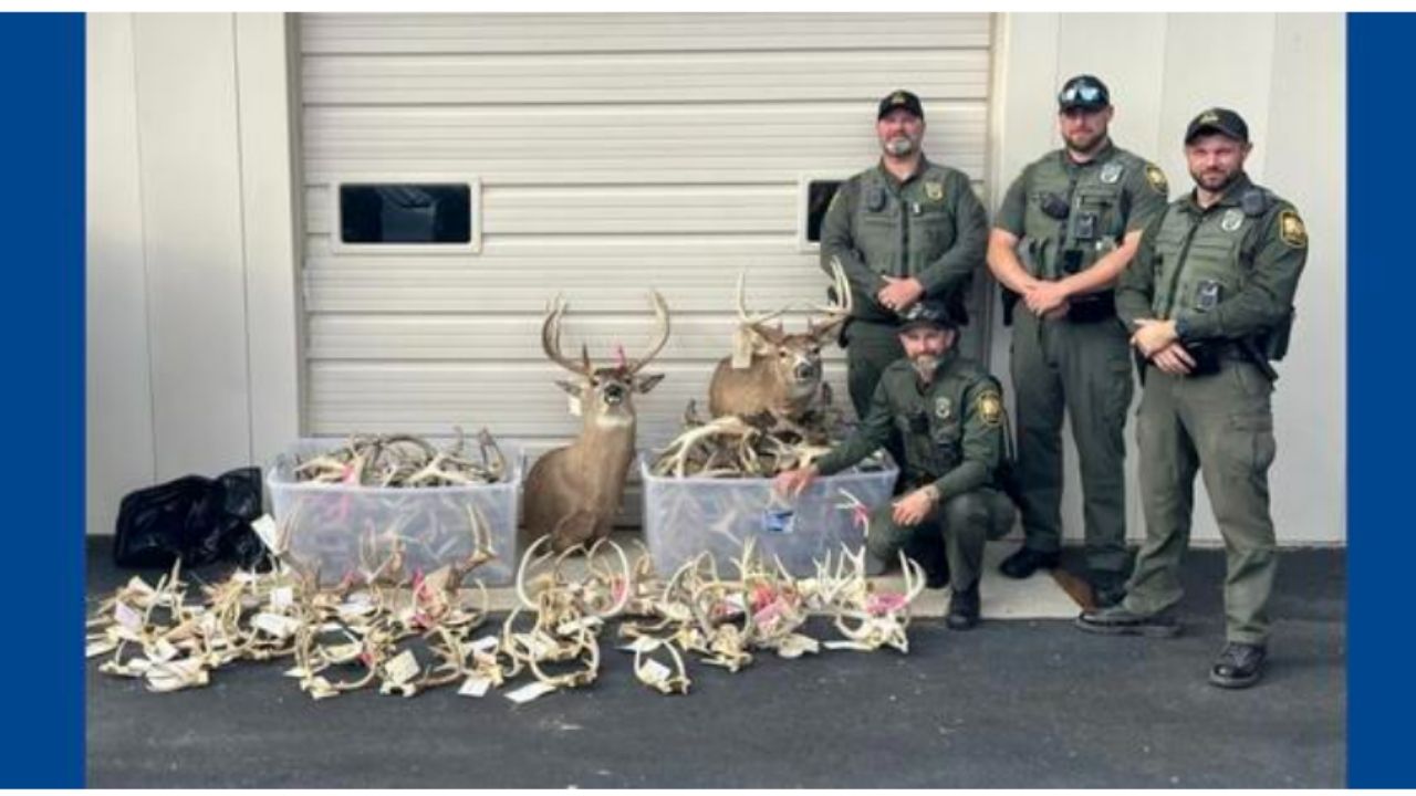 Ohio hunter sentenced to prison after investigation leads to forfeiture ...